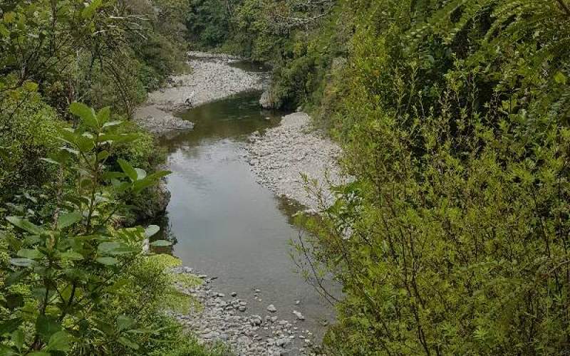 Kaitoke Regional Park | Freedom/Basic Camp | New Zealand